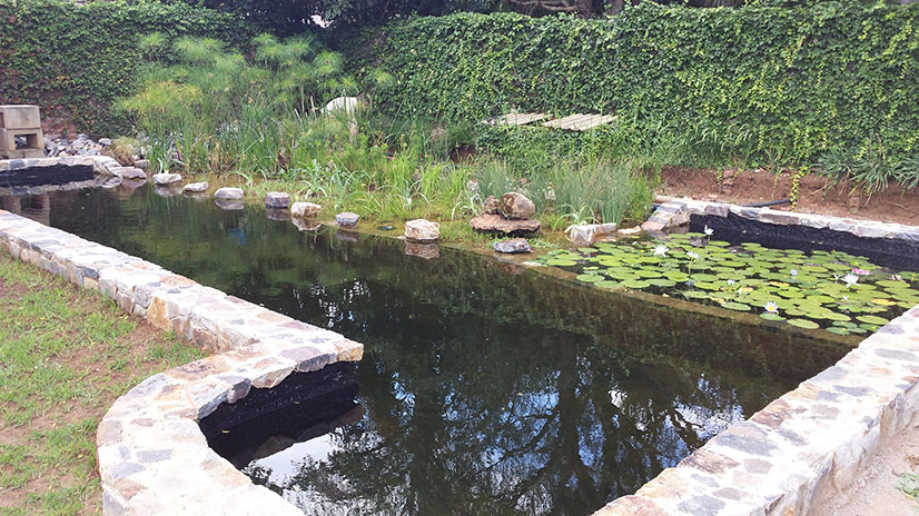 Lynnwood - wetlandPOOLS