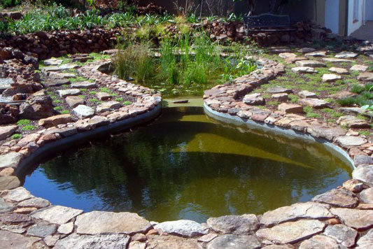 Portfolio – Wetland Pools