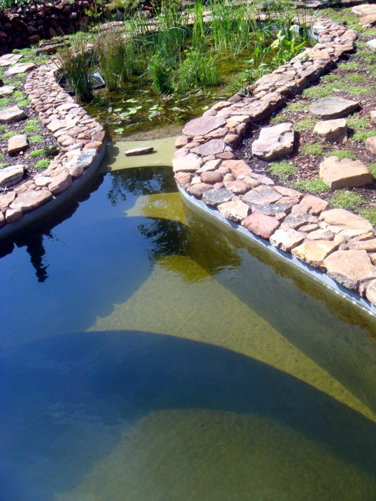 Melville - wetlandPOOLS