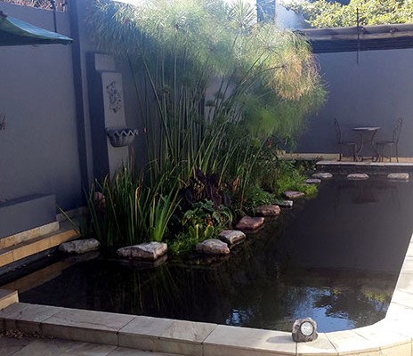 Portfolio – Wetland Pools