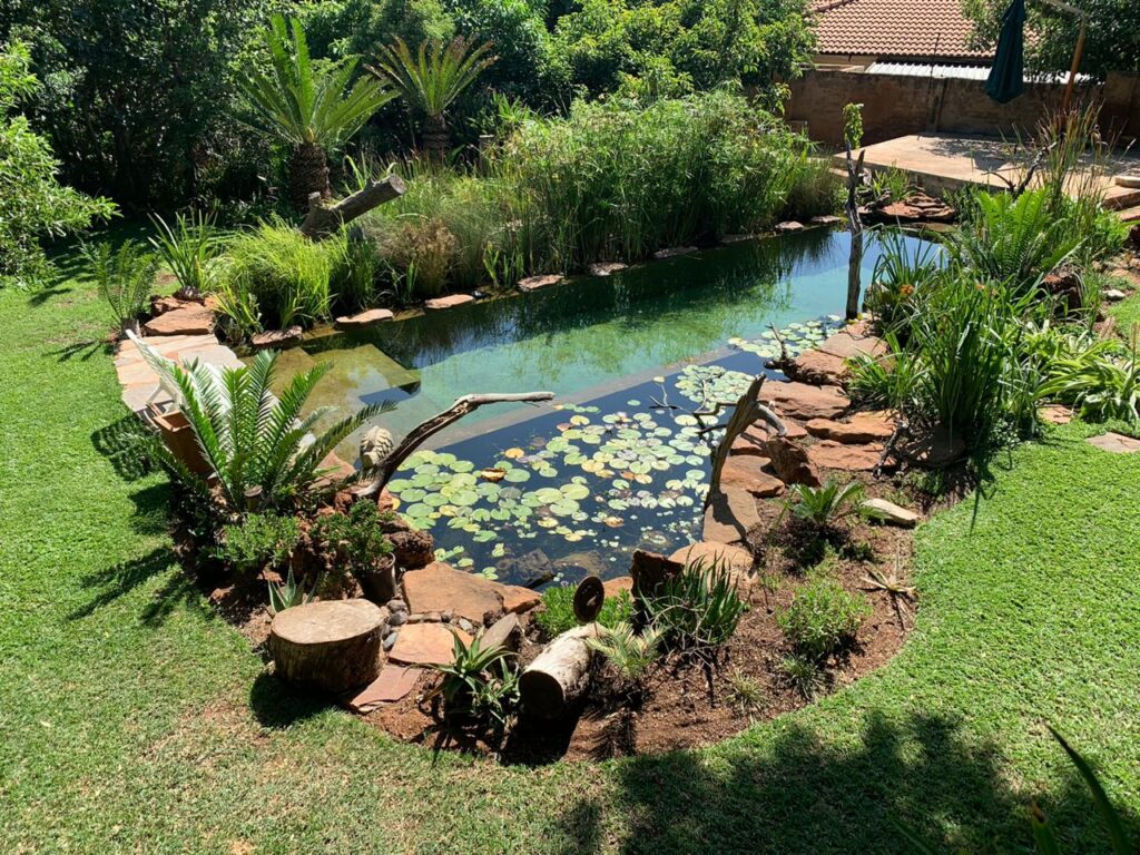Groenkloof - wetlandPOOLS