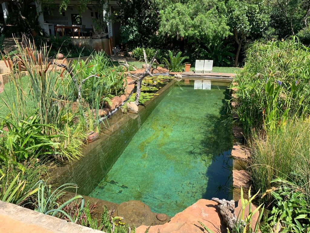 Groenkloof - wetlandPOOLS