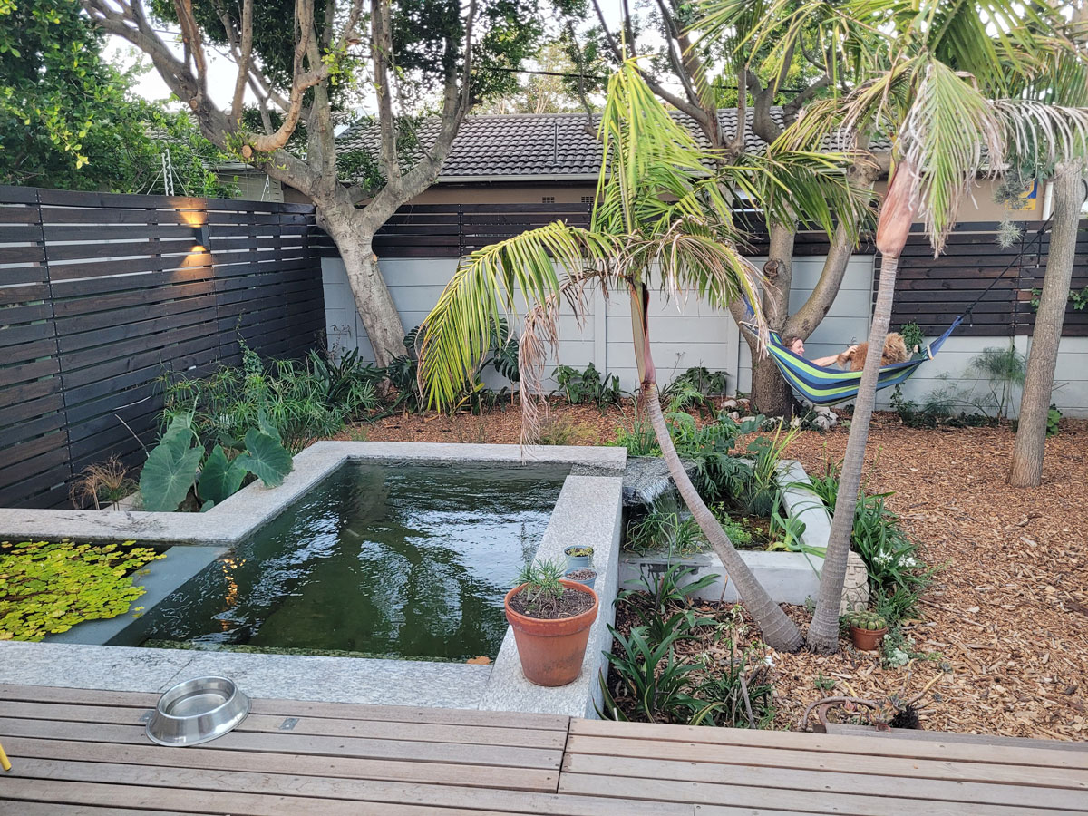 Rondebosch - wetlandPOOLS