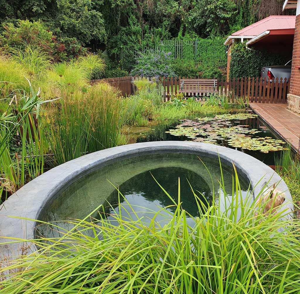 Observatory - wetlandPOOLS