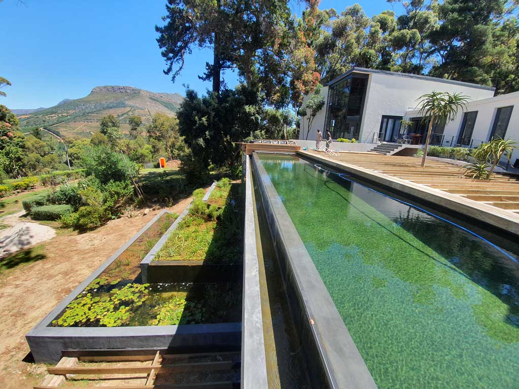 Constantia IV - wetlandPOOLS