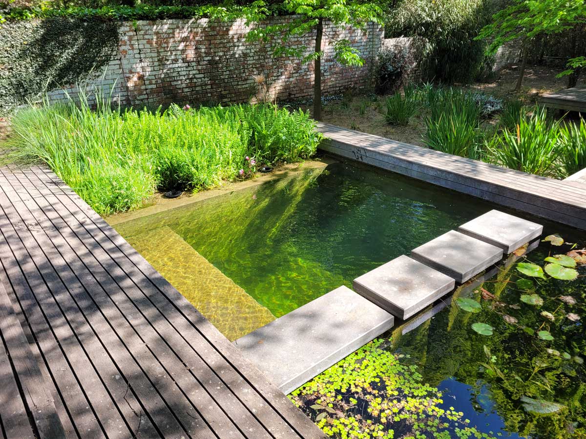 Parkhurst II - wetlandPOOLS