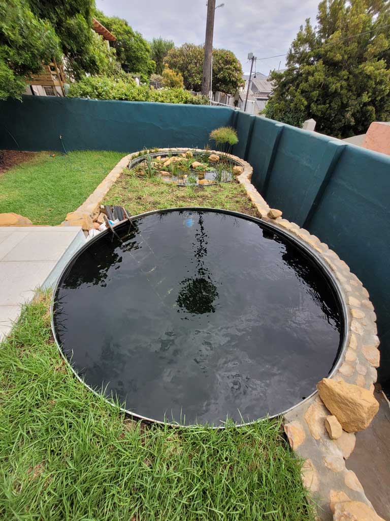 Woodstock - wetlandPOOLS