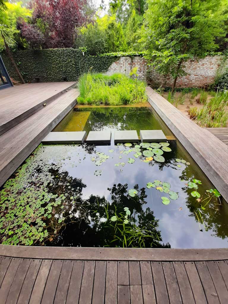 Parkhurst II - wetlandPOOLS