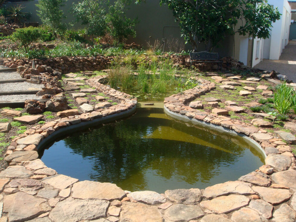 Melville - wetlandPOOLS