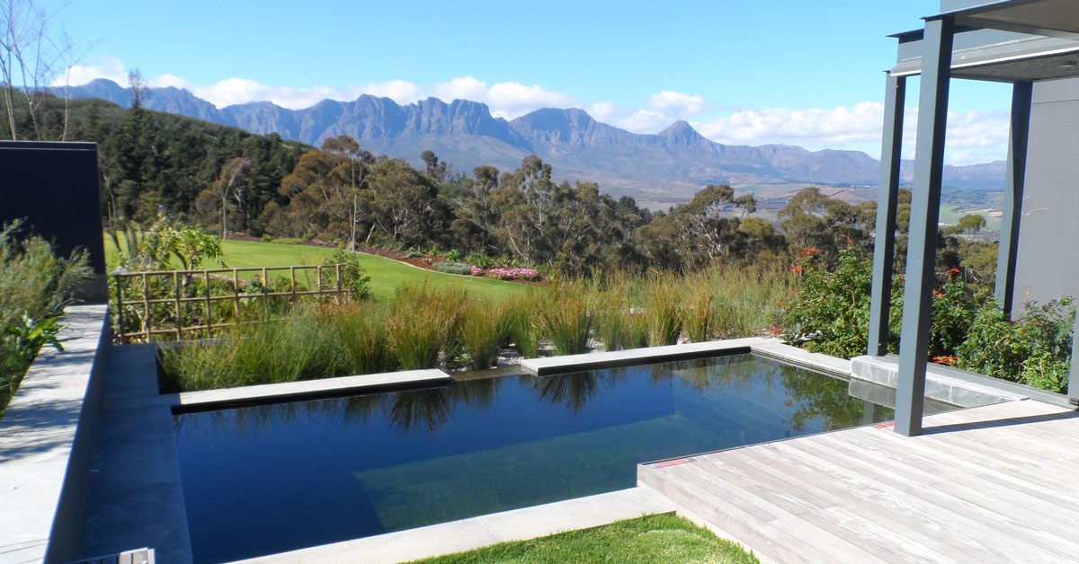 wetlandPOOLS | The luxury of swimming in nature